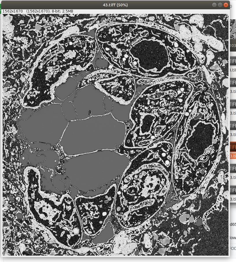 Having trouble while converting mrc image into DICOM, generated DICOM image is thresholded ...