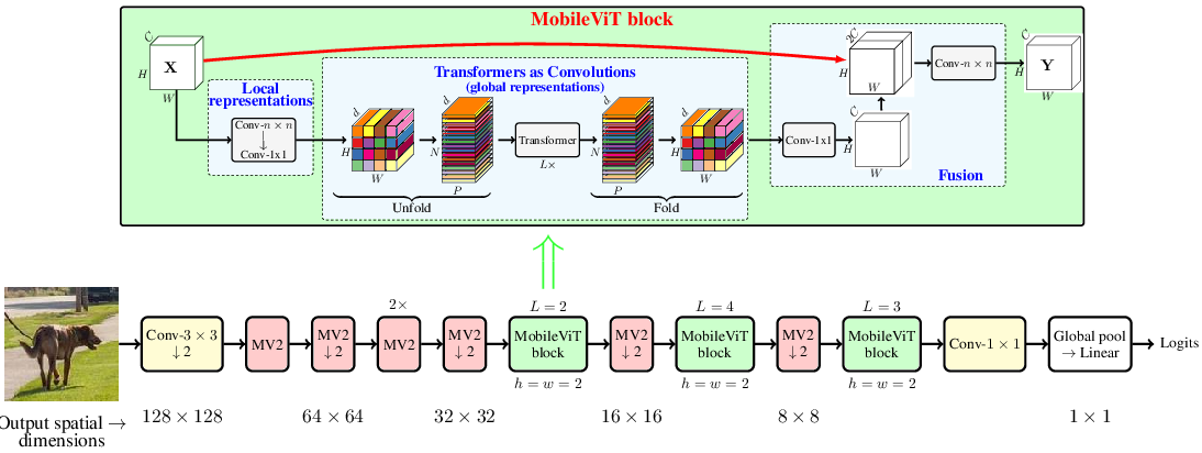 GitHub - aggelos-michael-papadopoulos/MobileViT-in-Tensorlow-and-Pytorch: MobileViT ...