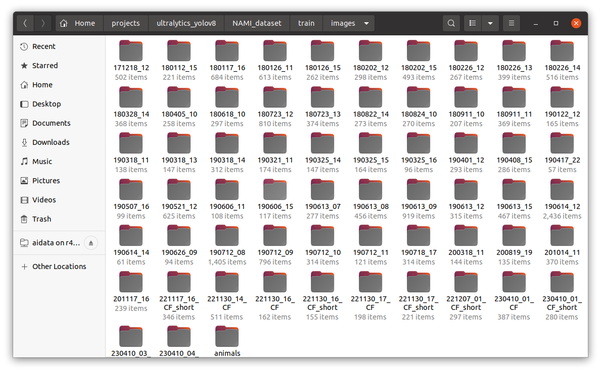 Custom coco format dataset · Issue #8087 · pytorch/vision · GitHub