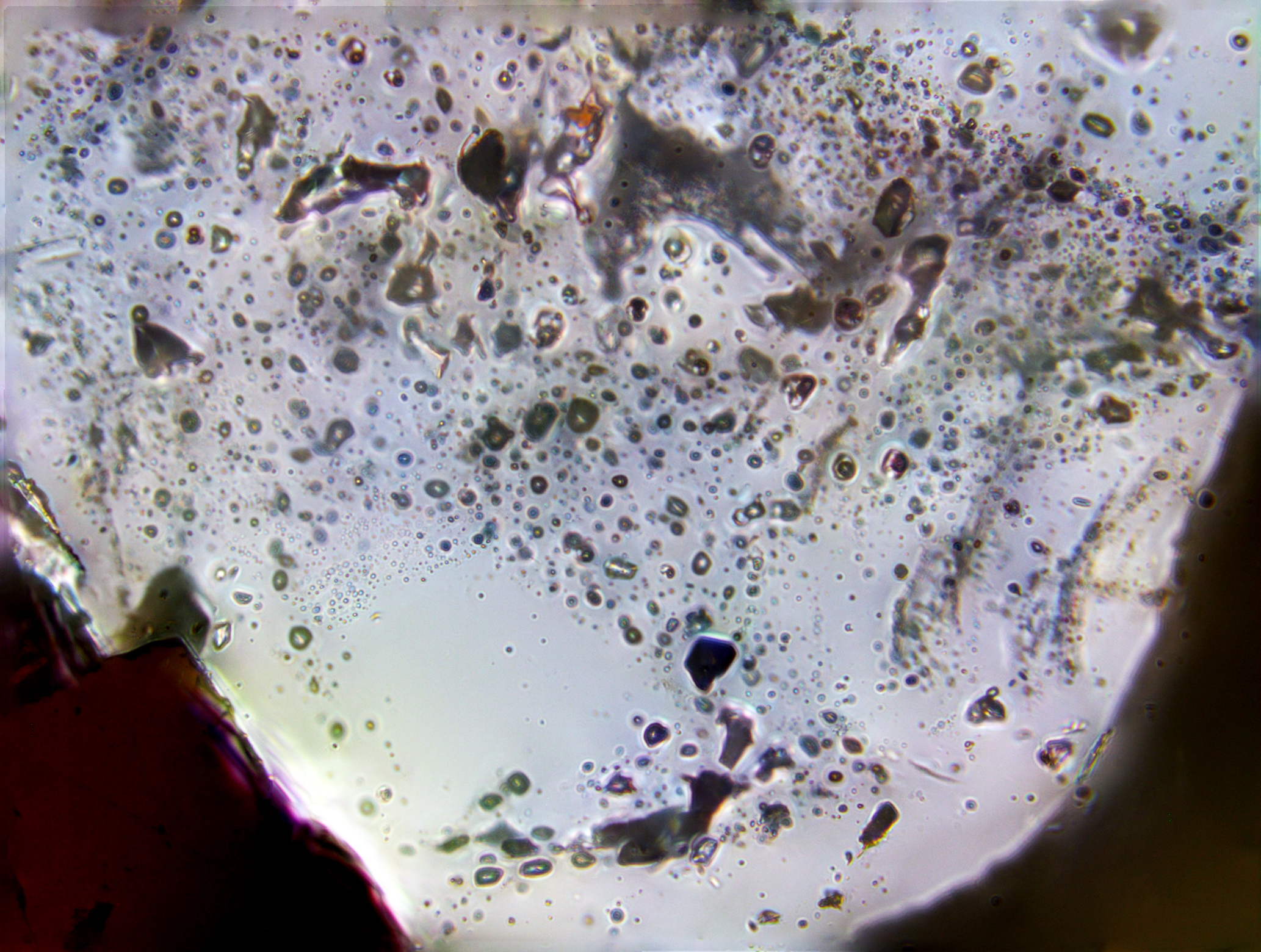 GitHub - DinaKlim/Alexey-Grigoriev-s-ML-Zoomcamp-Homework