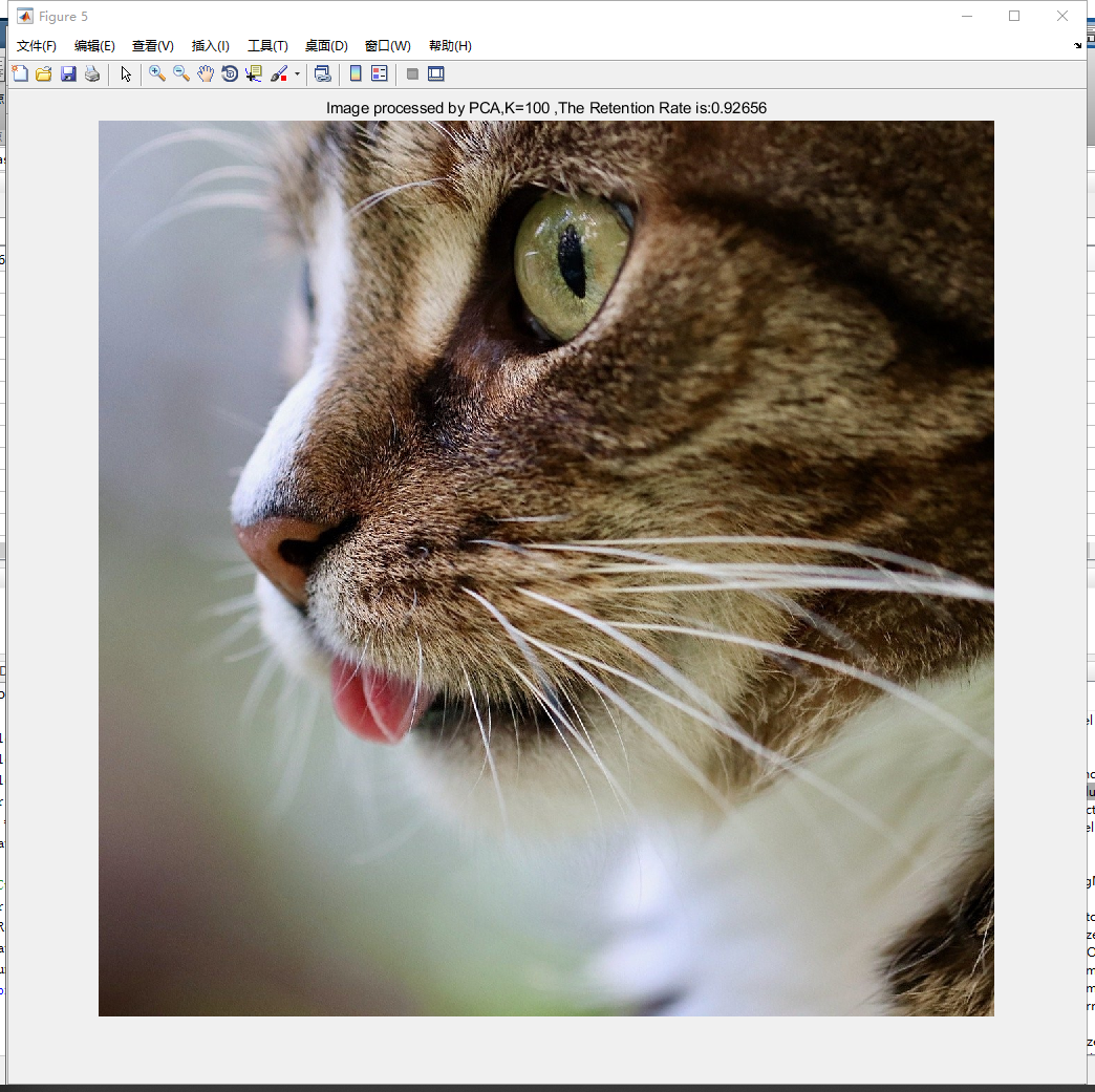 GitHub - alohanick/CVAssignment-PCA