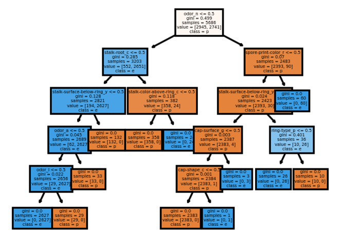 GitHub - 17nicolel/mushrooms-analysis: Predicting mushrooms edibility ...