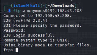 GitHub - ISLAM-XGAMER/AnonFTP: AnonFTP is a python script that gets an ...