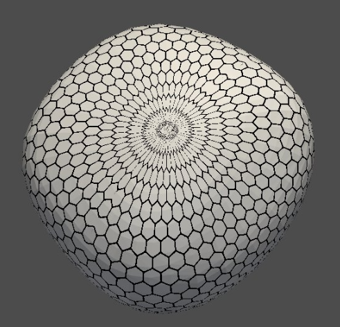 Applying textures · pyvista pyvista · Discussion #3346 · GitHub
