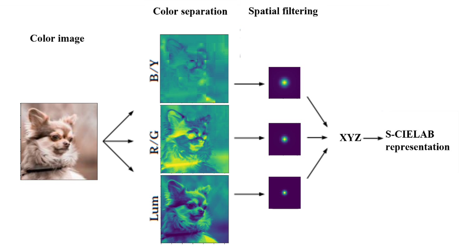 GitHub - pohwa065/GAN-Combined-with-Color-Image-Quality-Metric-S-CIELAB ...