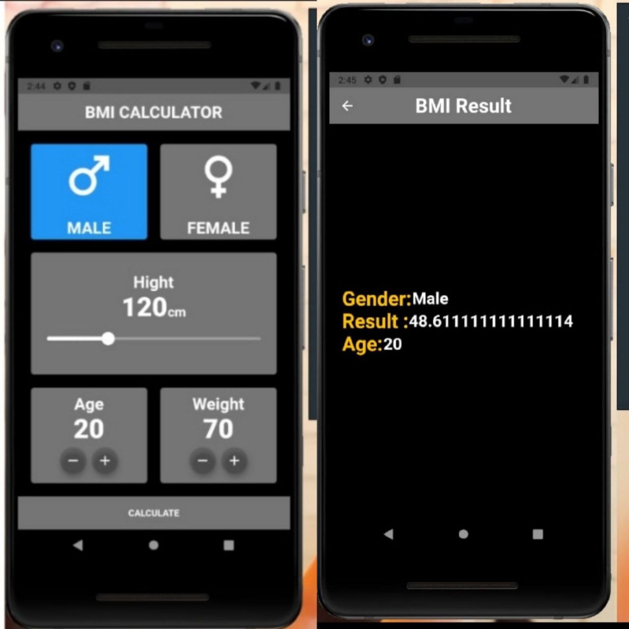 GitHub - demiana55samir/BMIWithFlutter