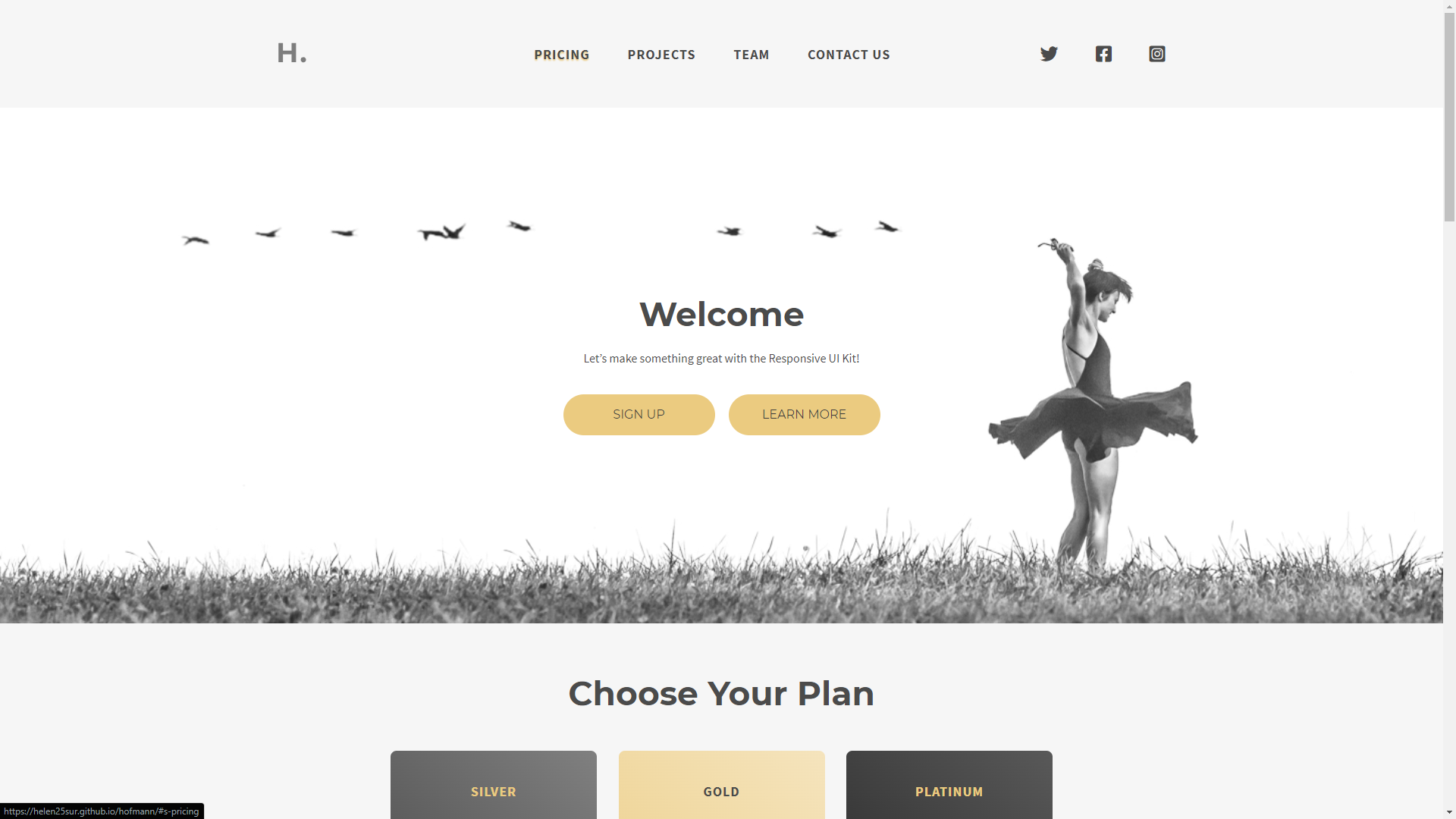 GitHub - helen25sur/hofmann