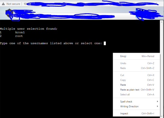 [bug] Ssh Session Copy Paste Not Working In Browserwindow · Issue 28617 · Electron Electron
