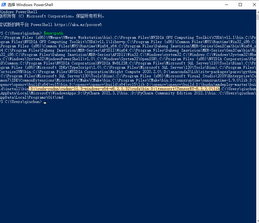 [mmdeploy] [error] [trt_net.cpp:28] TRTNet: 3: [executionContext.cpp::nvinfer1::rt ...
