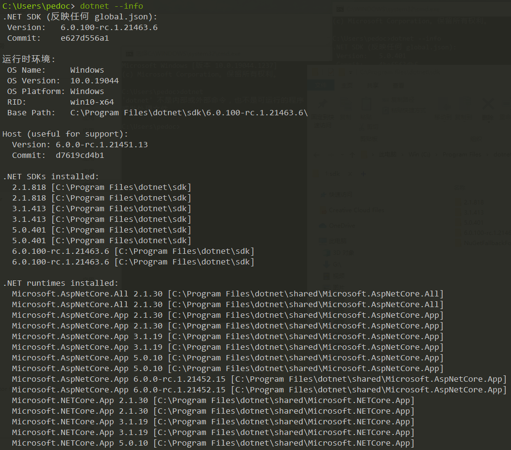 Dotnet Info Duplicate Output Information · Issue 12264 · Dotnetinstaller · Github