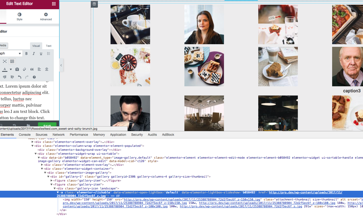 Lightbox Issue · Issue 2982 · Elementorelementor · Github 