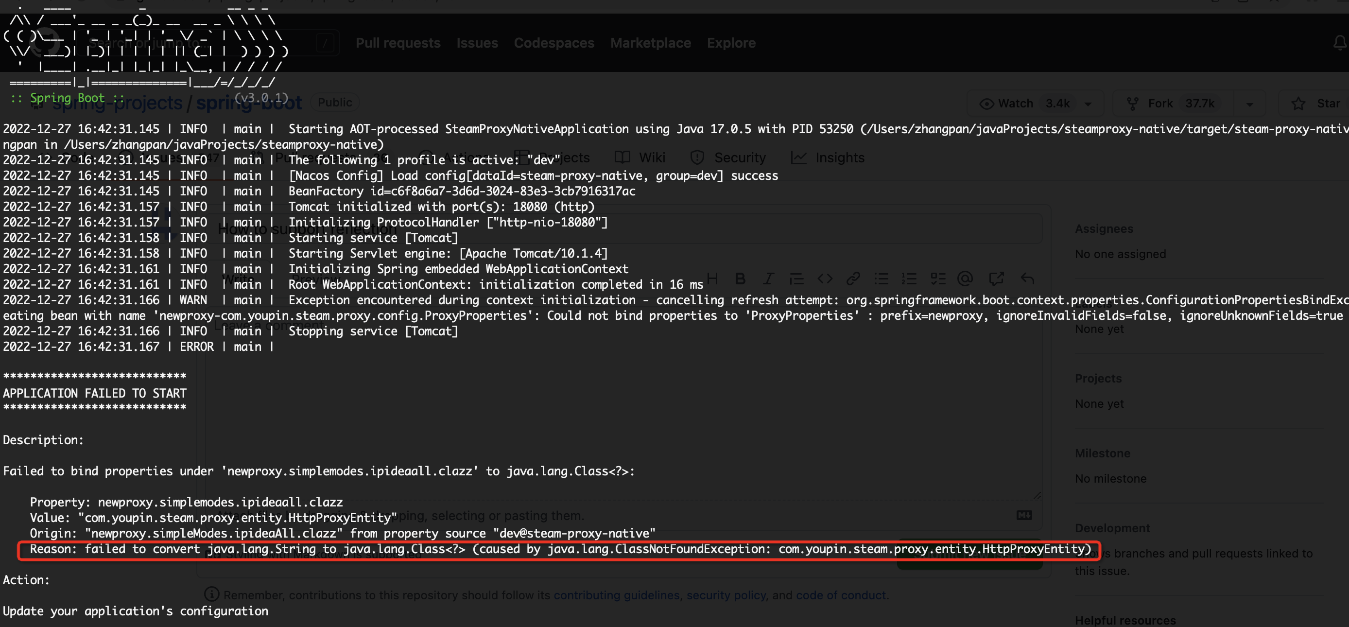 How to support reflection · Issue #33638 · spring-projects/spring-boot · GitHub
