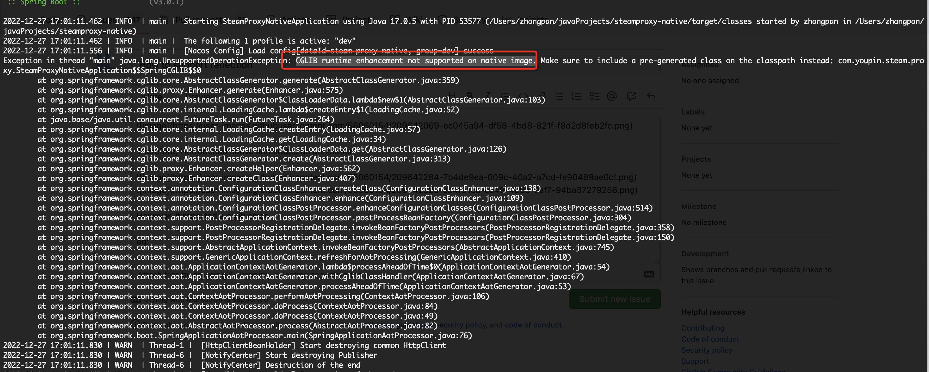 How to support reflection · Issue #33638 · spring-projects/spring-boot · GitHub