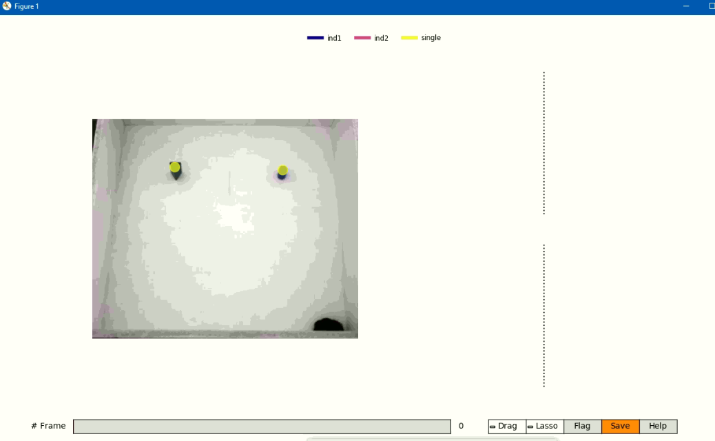 Number of animals in the refinement tracklets step does not coincide with the number of animals ...