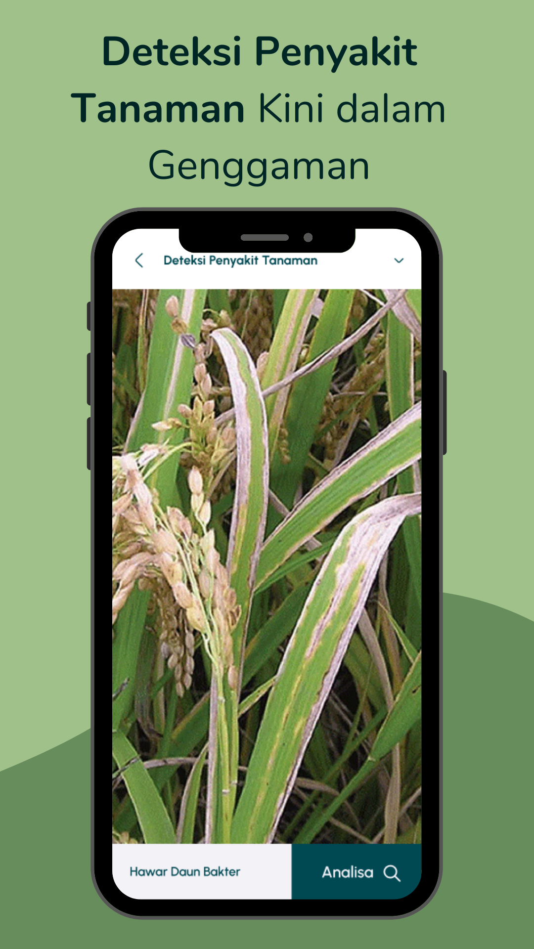 GitHub - Terrafarms/bangkit-machine-learning: 🤖 Terrafarms ML Models