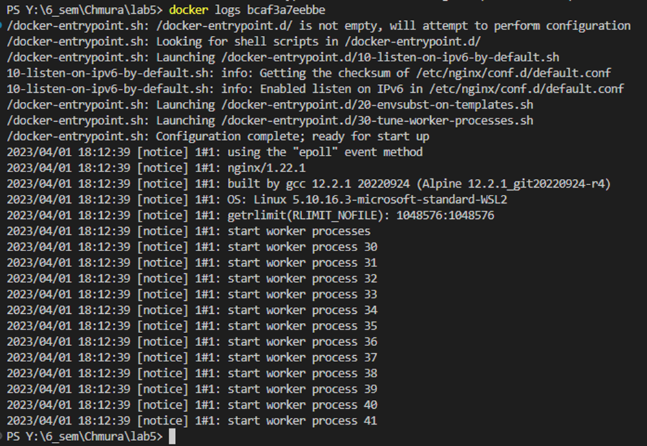 GitHub - ExoKamiz/lab5