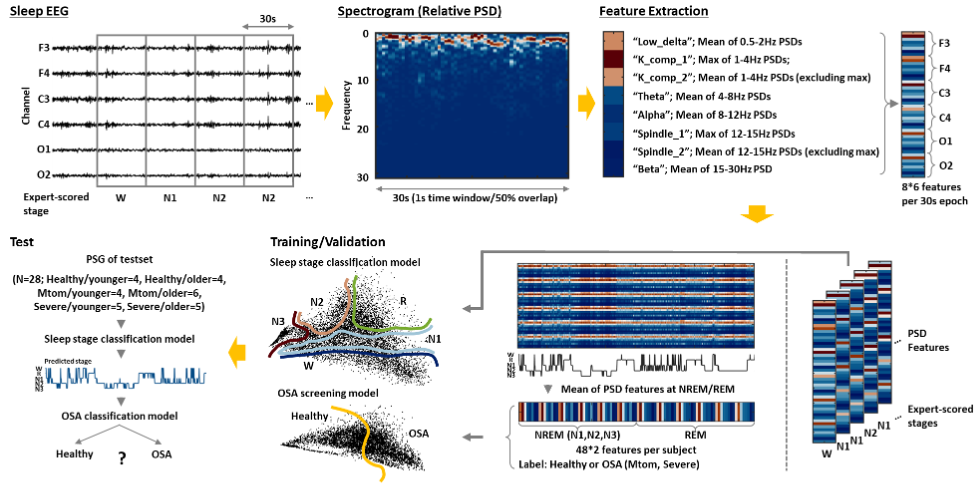 GitHub - chaewon-kang/age-osa-sleep-classification: Age-integrated AI framework for sleep stage ...