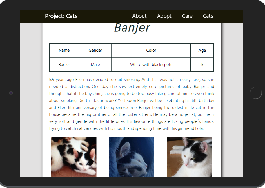 GitHub - Ereja/Project-Cats: Simple webpage to highlight benefits of ...