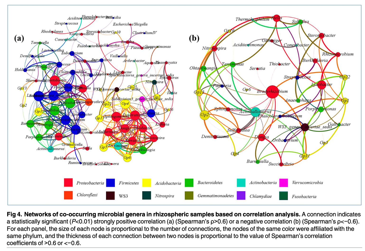Microbial Network Plotting Using Igraph And Gephi Issue 2192 Gephi