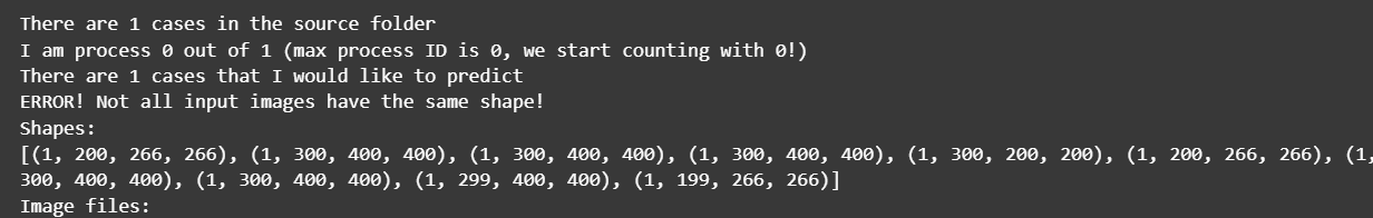 inference error! · Issue #1539 · MIC-DKFZ/nnUNet · GitHub