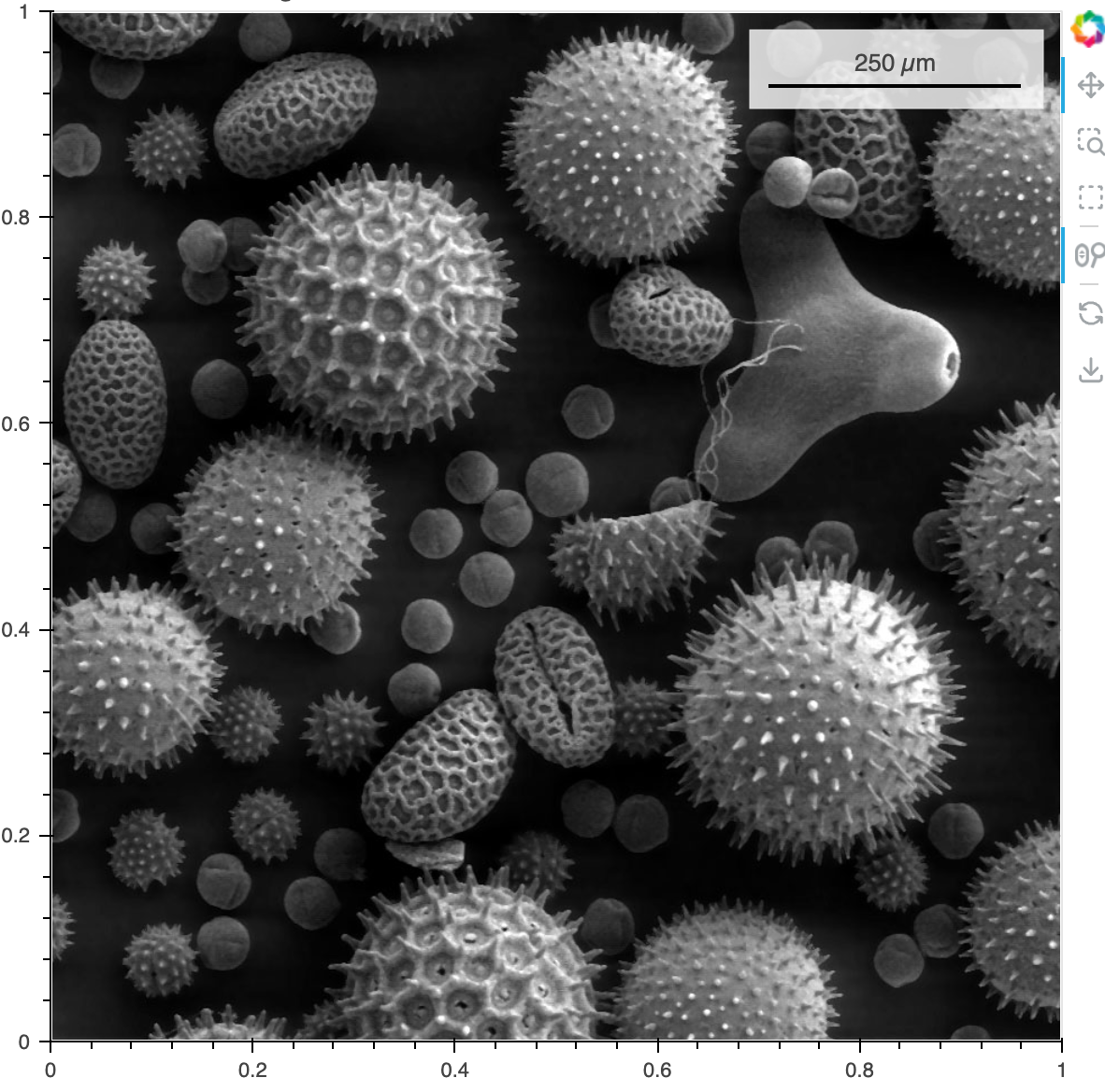 Add Scalebar Support · Issue 5948 · Holovizholoviews · Github