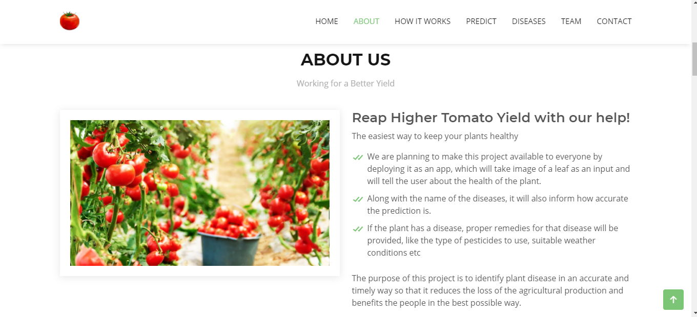 GitHub - Ankit-c2104/Tomatao-Plant-Leaf-Disease-Detection-DL-Project: The primary source of ...