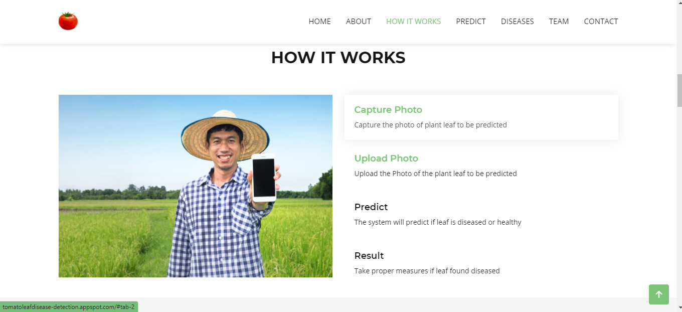 GitHub - Ankit-c2104/Tomatao-Plant-Leaf-Disease-Detection-DL-Project: The primary source of ...