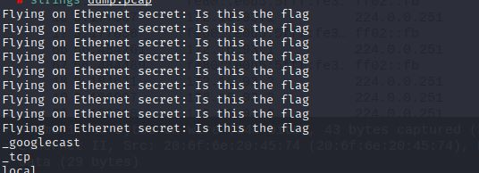 PICOCTF-2023/Findandopen.md at main · khanzjob/PICOCTF-2023 · GitHub