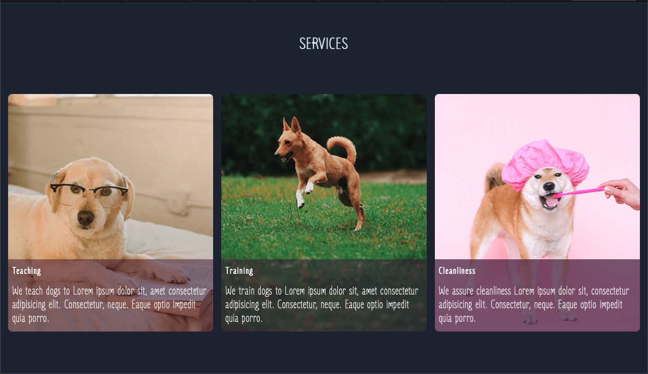 GitHub - r-e-d-ant/DOG-guard-center-website: A dog guard website made ...