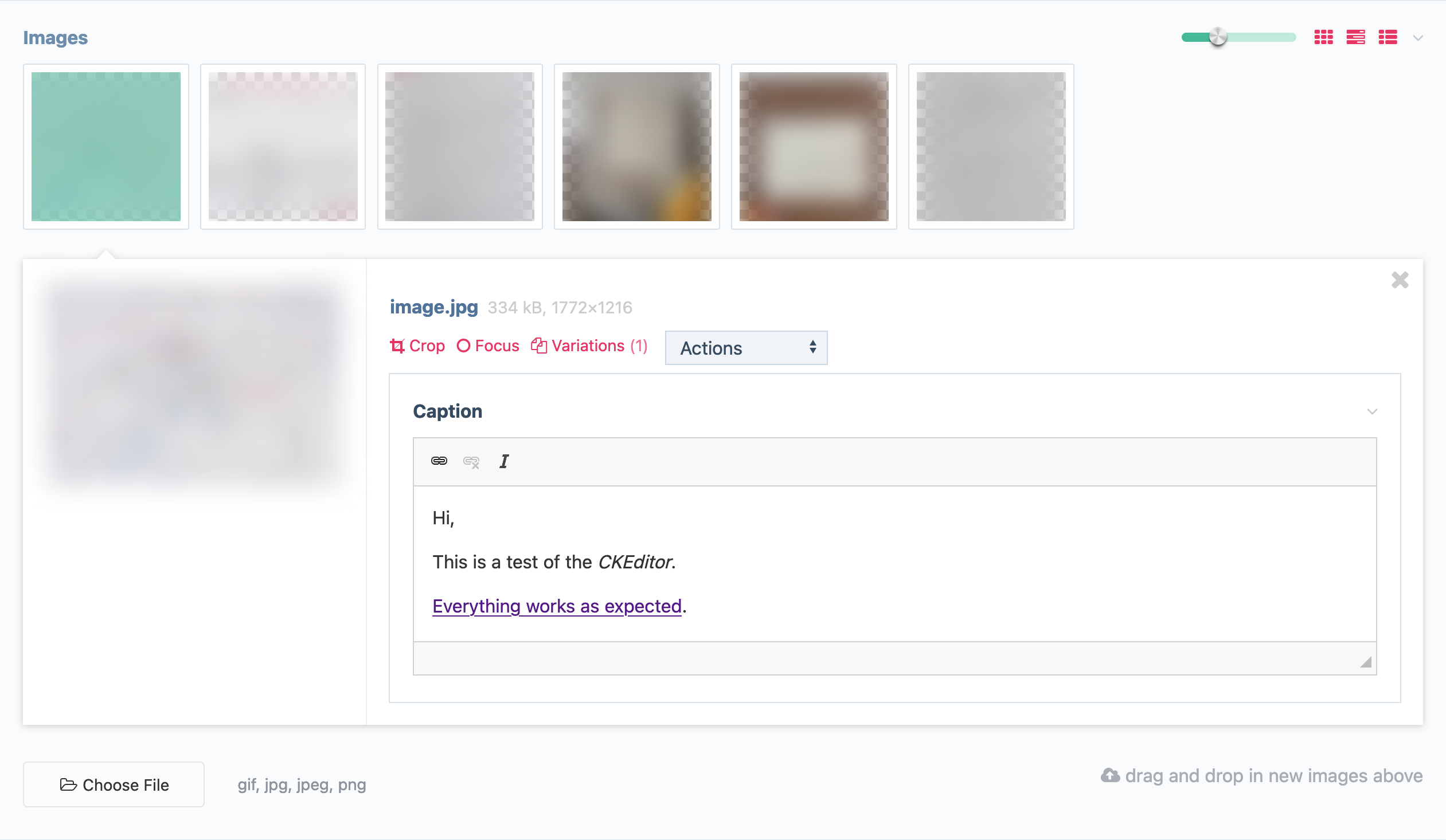 Allow CKEditor to be used in custom PageFile/Image fields · Issue #1597 · processwire ...