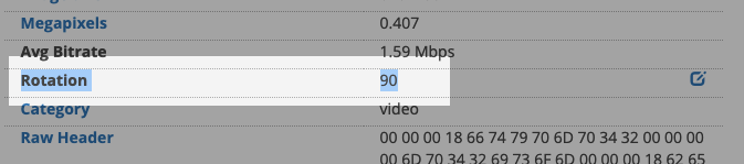 Black screen on iOS · Issue #99437 · flutter/flutter · GitHub