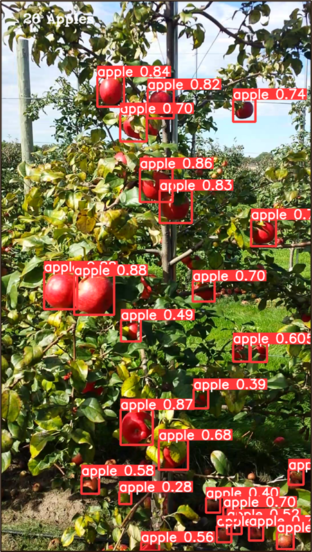 GitHub - ammyshf/Fruit-Counting-App: The fruit counting app provides an ...