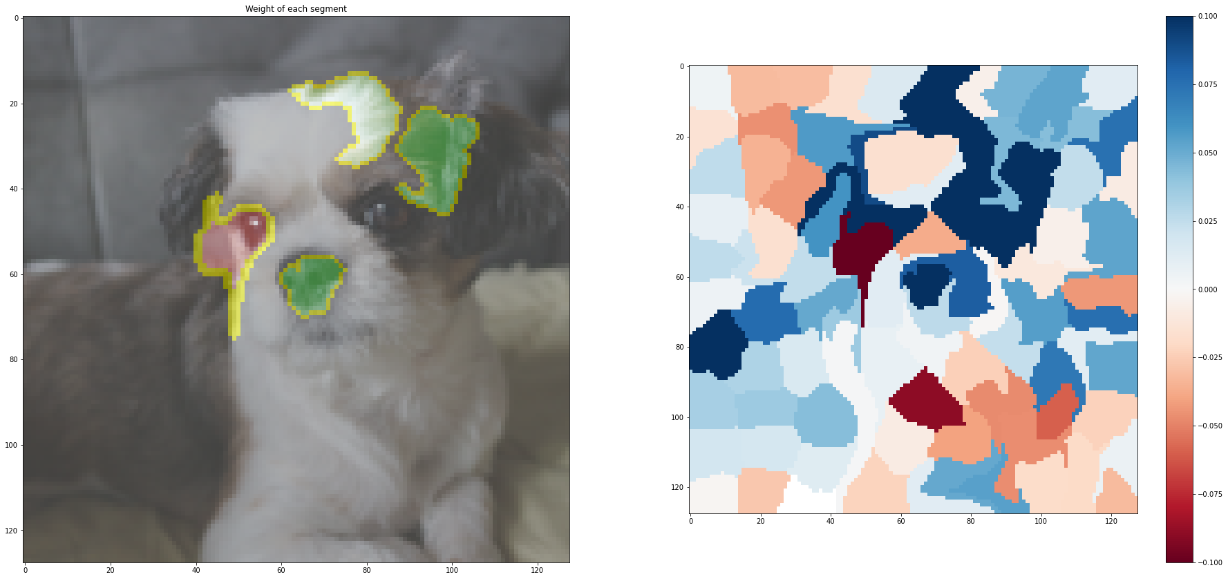 GitHub - Classufy/xai-dog-breed-classification