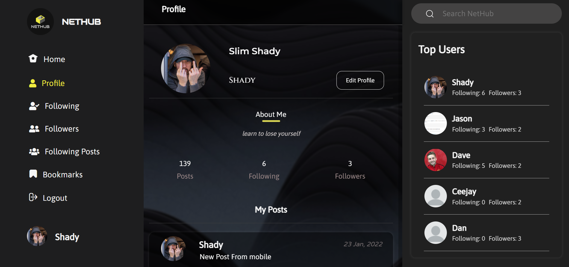 GitHub - shady-cj/NetHub: A mini social media app with limited functionality
