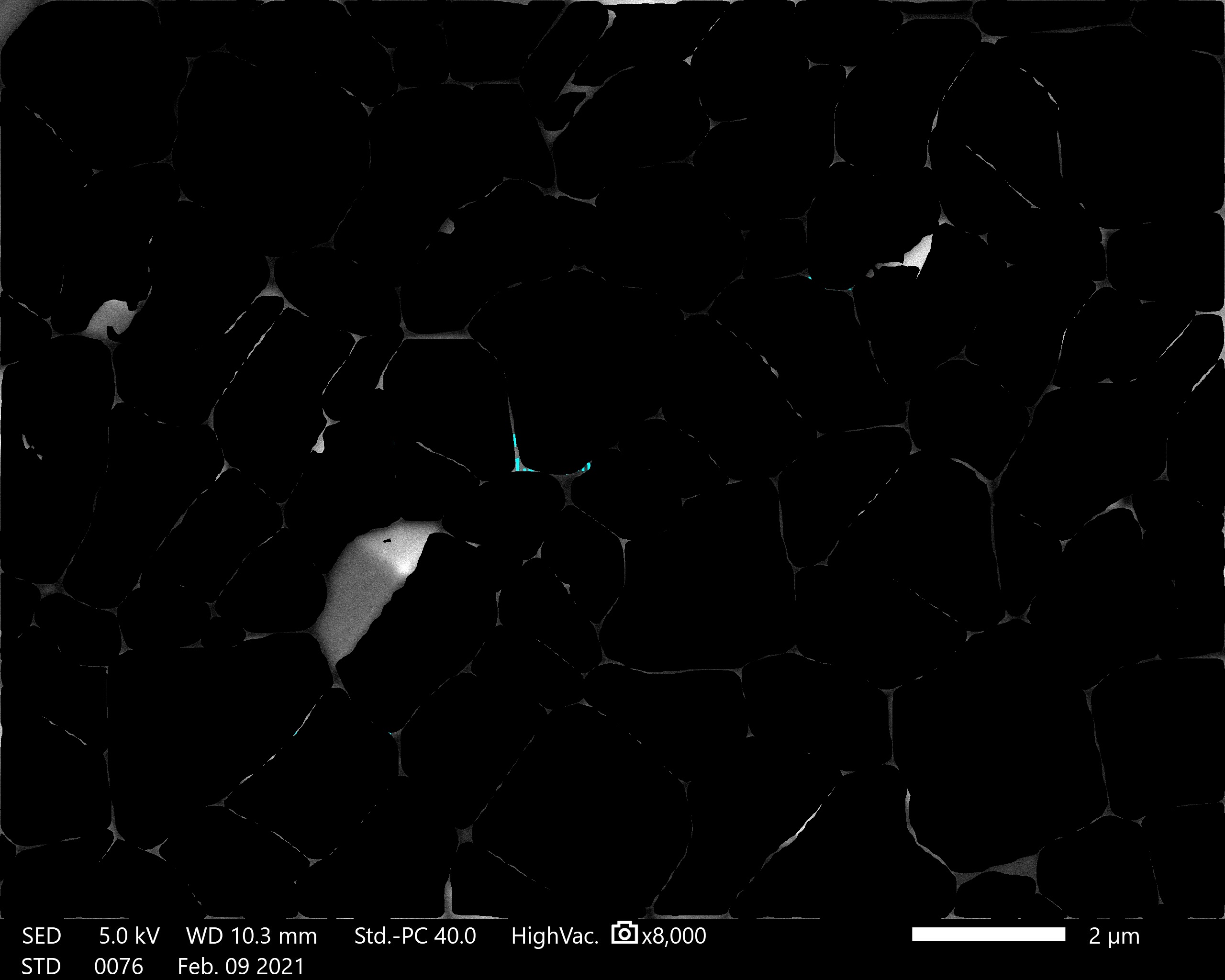 GitHub - KyoungsupShin/SEM_segmentation_Model