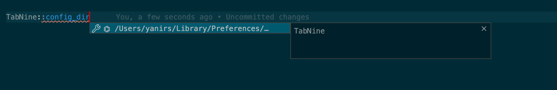 TabNine::config_dir doesn't work · Issue #197 · codota/tabnine-vscode · GitHub