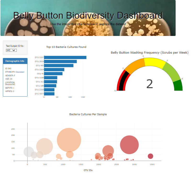 GitHub - DorianSafaa/Belly_Button_Biodiversity