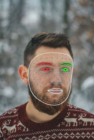 GitHub - jhsongok/468_Face_Landmark