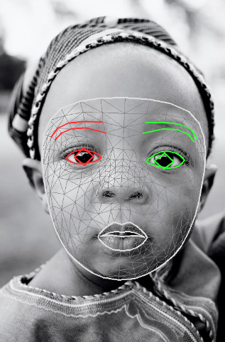 GitHub - jhsongok/468_Face_Landmark