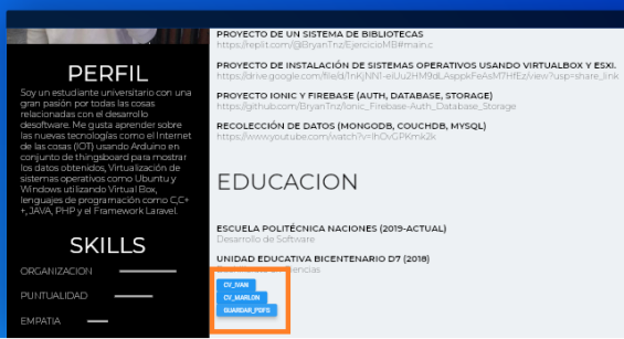 GitHub - BryanTnz/D2-Flutter_CV