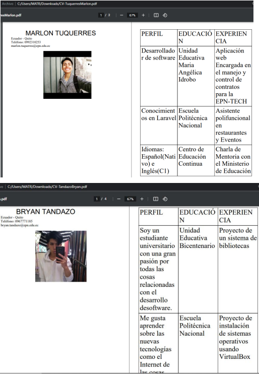 GitHub - BryanTnz/D2-Flutter_CV
