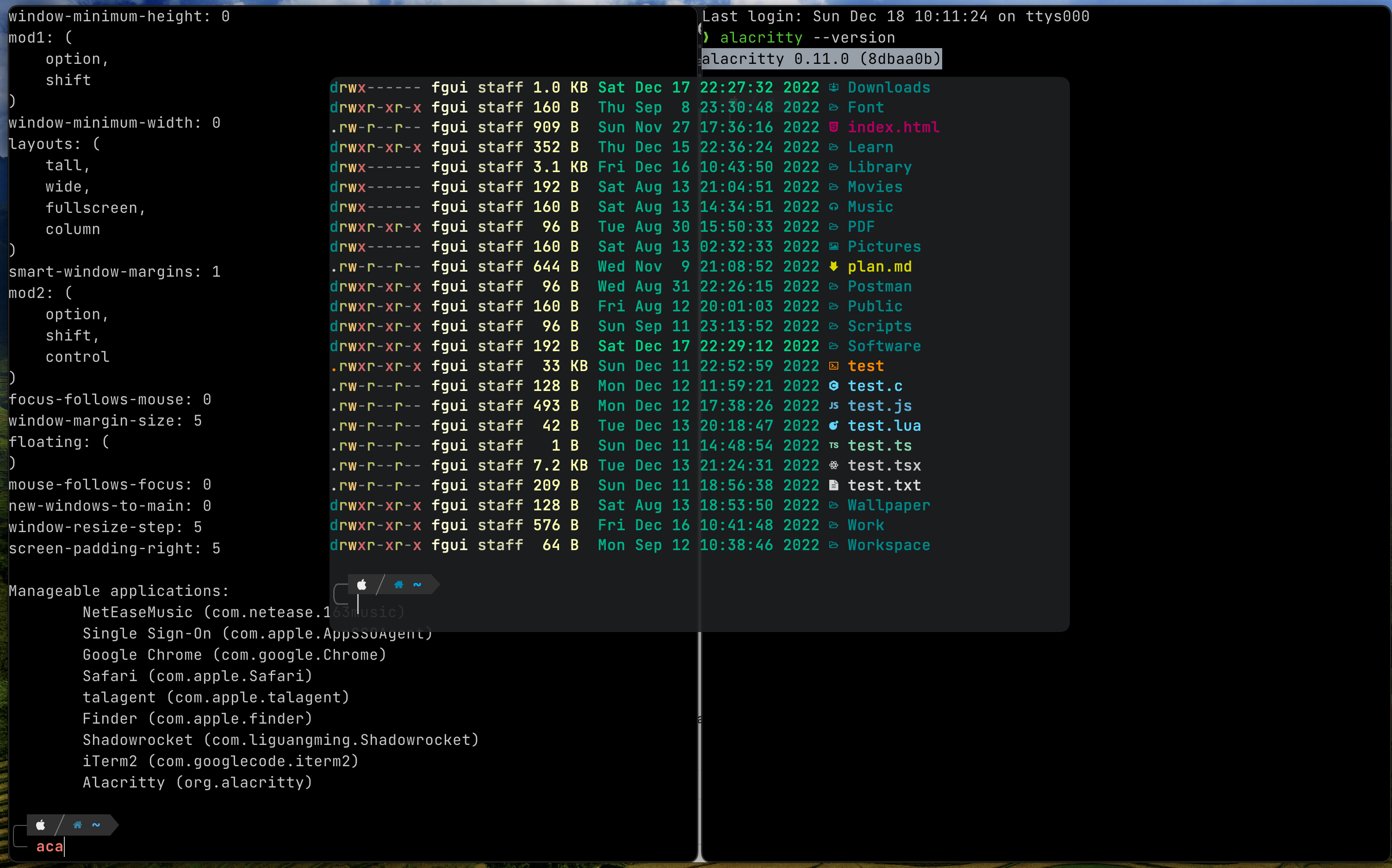 Can't work with alacritty · Issue #1353 · ianyh/Amethyst · GitHub