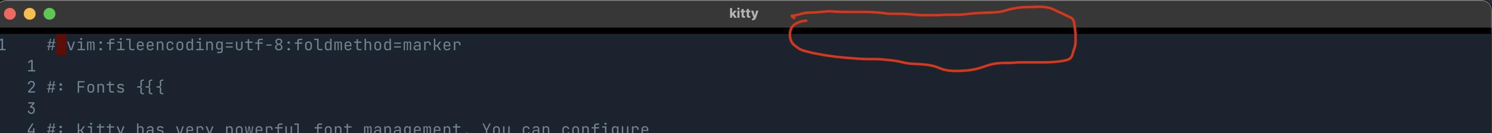 Gap between title bar and content area · kovidgoyal kitty · Discussion #5812 · GitHub