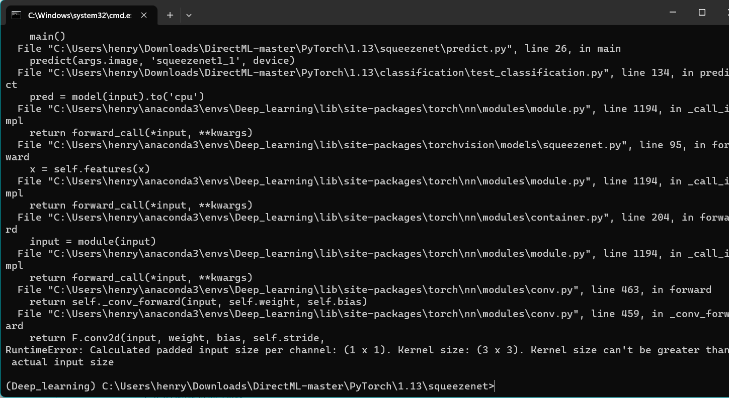 Prediction Of Squeezenet · Issue 435 · Microsoftdirectml · Github