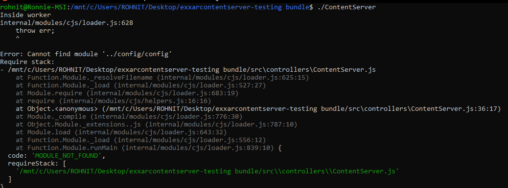 Running app built on windows for linux fails · Issue #841 · nexe/nexe · GitHub
