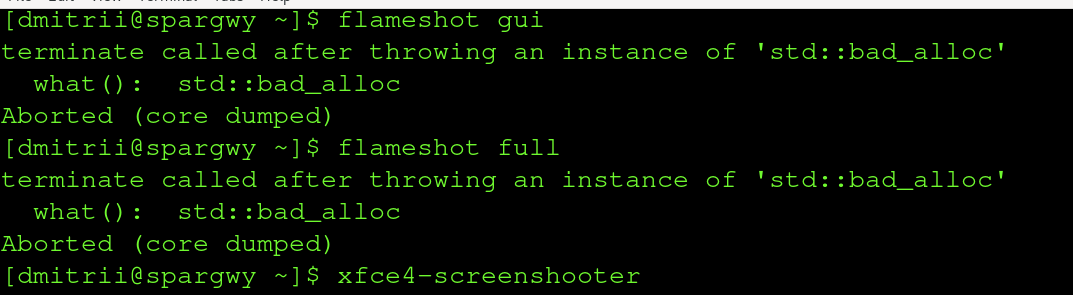 Core dump while doing screenshot · Issue #3048 · flameshot-org/flameshot · GitHub