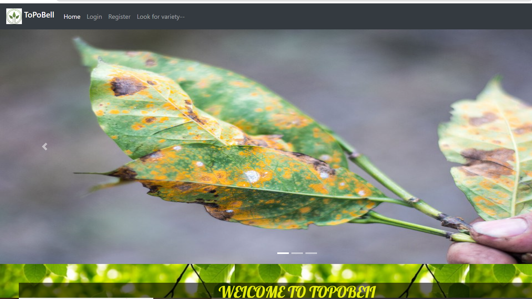 GitHub - Ahana-roy/plant-disease-prediction-using-flask: A lot is at ...