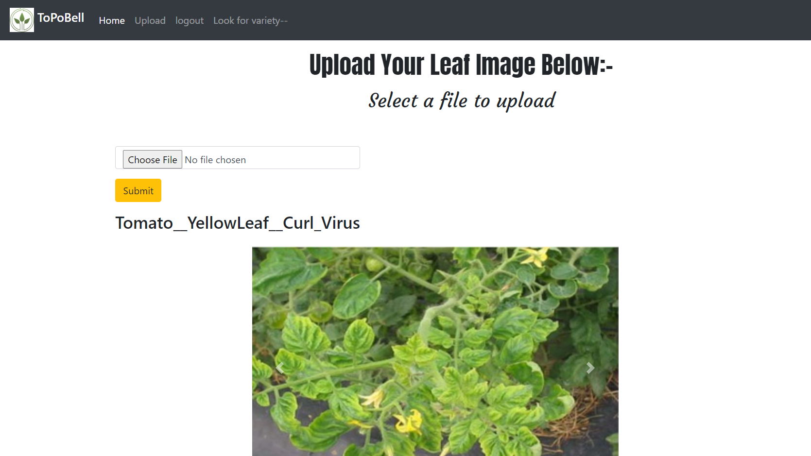GitHub - Ahana-roy/plant-disease-prediction-using-flask: A lot is at ...