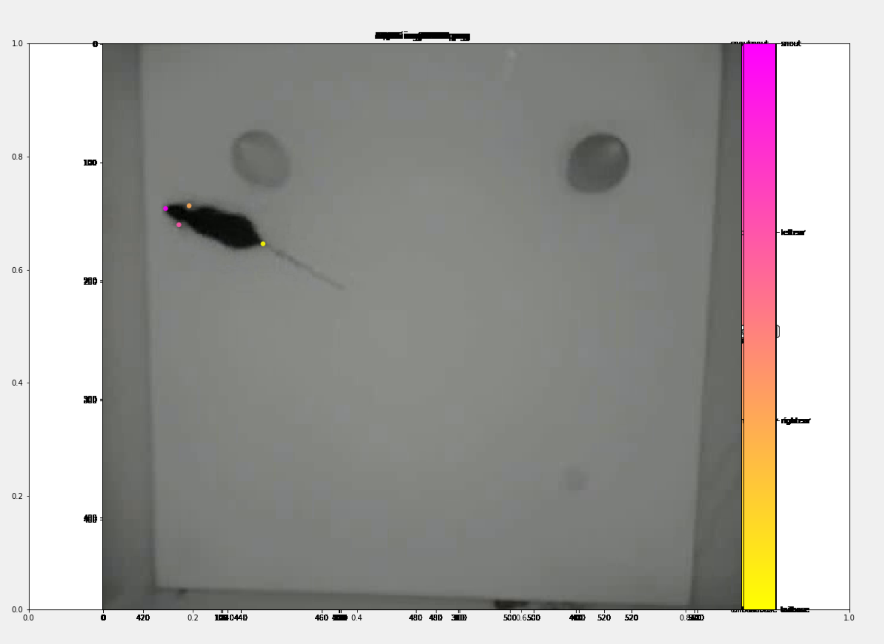 no refresh of text between frames with label_frames? · Issue #735 · DeepLabCut/DeepLabCut · GitHub