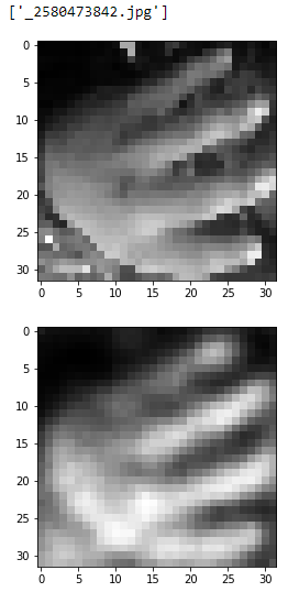 Last Cell In Auto Encoder Example Displays Training Images Twice · Issue 305 · Sassoftware